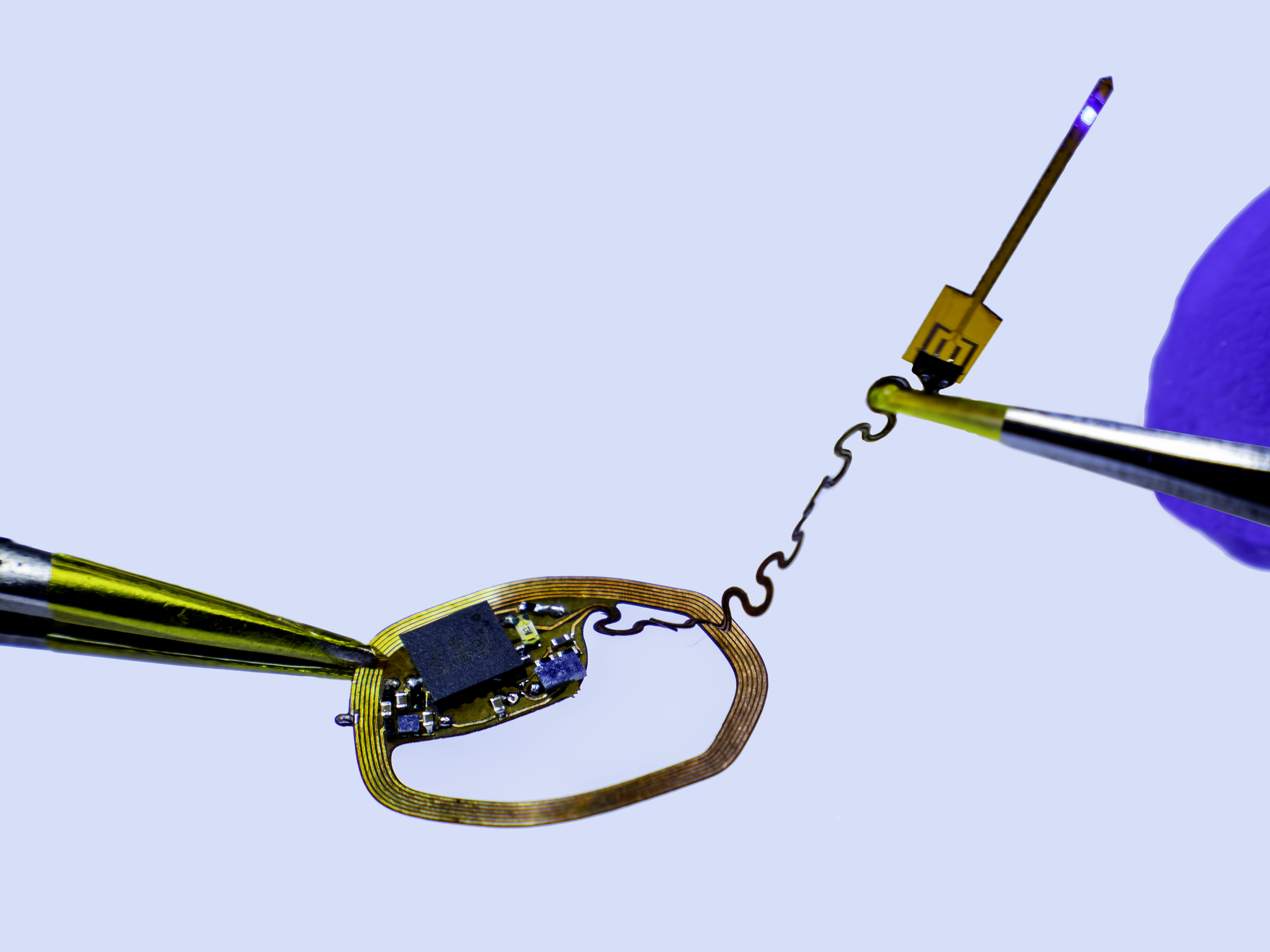 Tiny Wireless Devices Cast Light on Brain’s Inner Workings | News ...