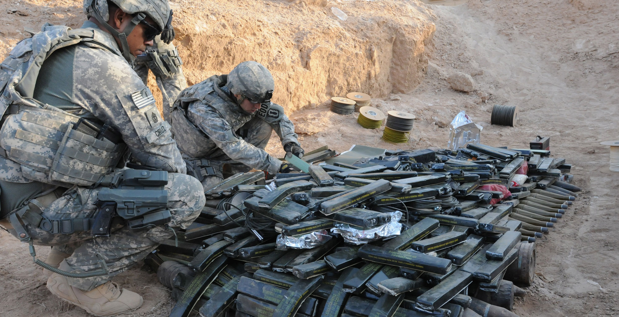 UA Researchers Hunt Bomb-Eating Bugs | News | College of Engineering ...